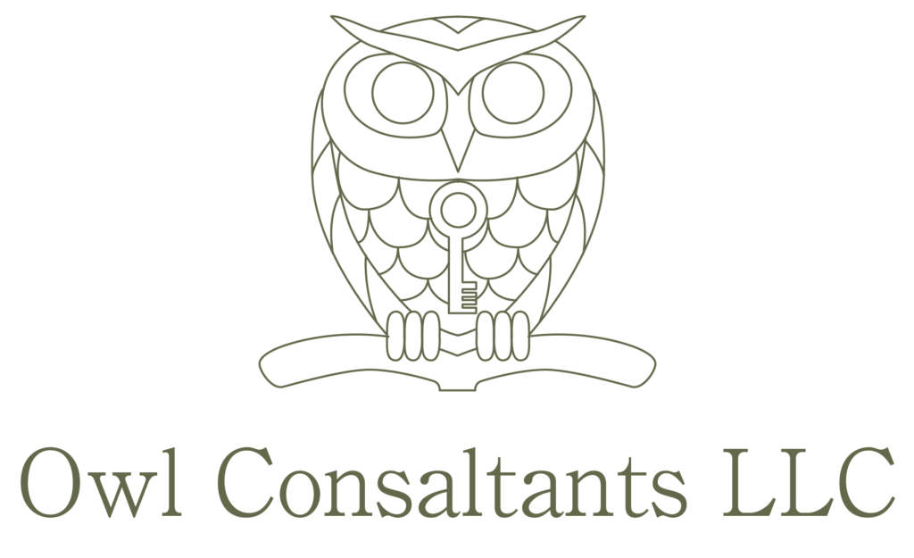 owl consultants LLC